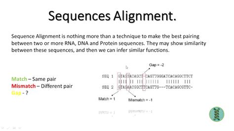 bioinformatics sequences alignment youtube