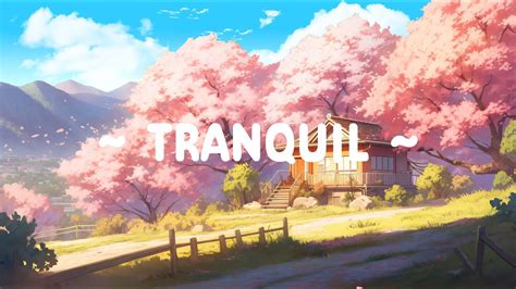 Tranquil Lofi Keep You Safe Deep Focus Sleep Study Relax Lofi