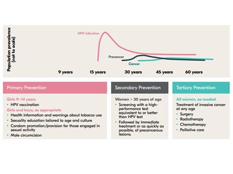 Using Human Papillomavirus HPV Detection Tests For Cervical Cancer
