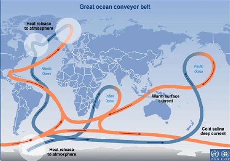 Thermohaline Circulation Diagram