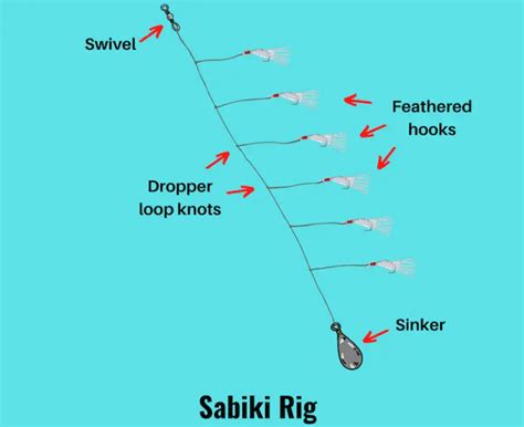 Best Pier Fishing Rigs Setup Fishing Guide W Pictures