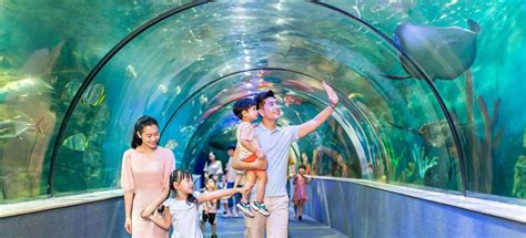 Khu vui chơi gia đình ở Hà Nội 14 tọa độ HOT 2023
