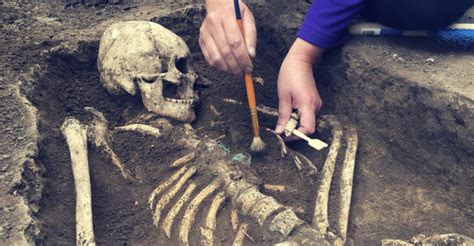 Descubre Los Fascinantes Ejemplos De Antropolog A Arqueol Gica