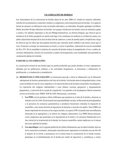 CICATRIZACIÓN DE HERIDAS Sille ErreC uDocz