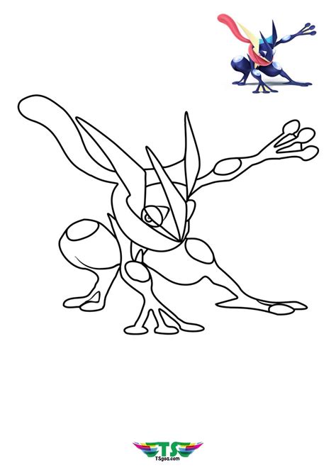 Desenhos Do Greninja Para Baixar E Pintar Mestre Pokemon