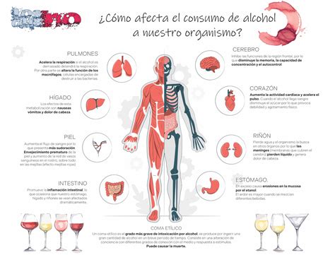Nueva infografía de Los Que No Cómo afecta el uso del alcohol en