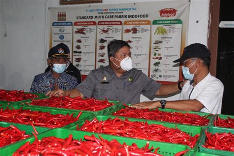 Jelang HBKN Kementan Optimis Stok Dan Harga Cabai Aman DIREKTORAT