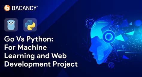 Go Vs Python For Backend Head To Toe Comparison