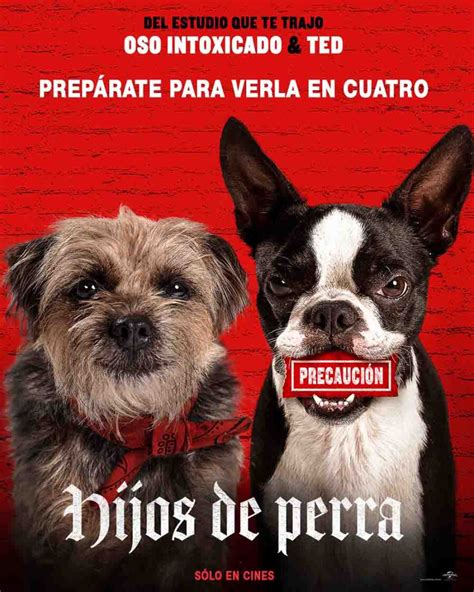 Hijos de perra Estreno trailer y todo sobre la película con Will