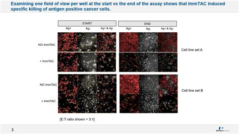 Immunocore T Cell Killing Assays YouTube