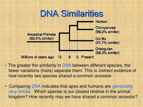 ppt evolution powerpoint presentation free download id 1174733