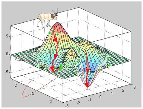 gradient descent in machine learning python examples