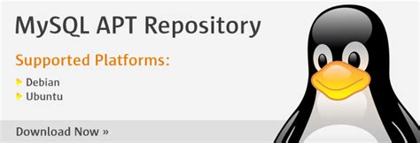 linux 安装 mysql 8 0 及 配置 使用 mysql apt 存储库的快速指南 csdn博客