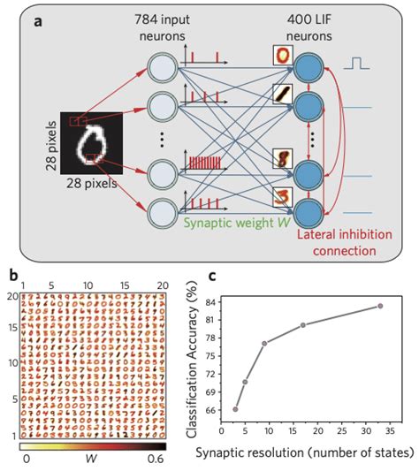 the 2 layer skyrmionic snn for unsupervised learning via stdp method download scientific