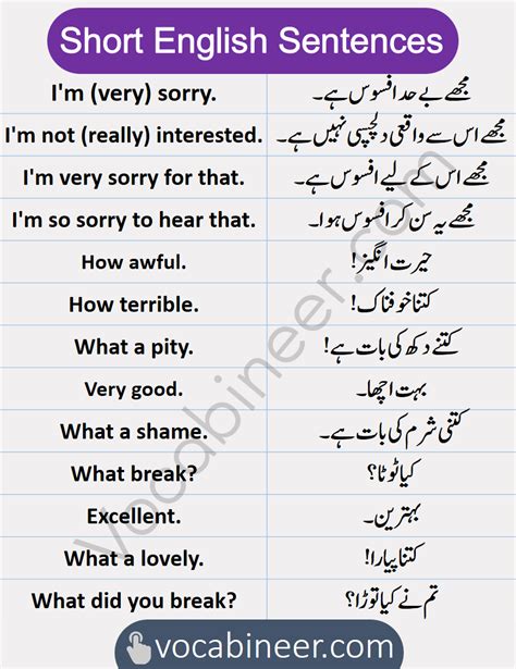 English Sentences Used In Daily Life Artofit