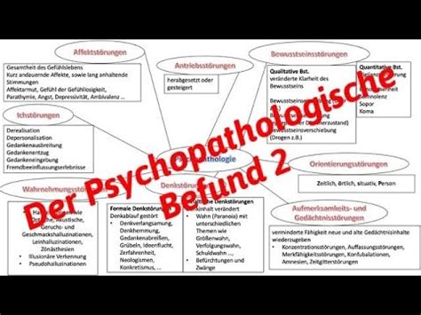 Heilpraktiker für Psychotherapie Der Psychopathologische Befund 2