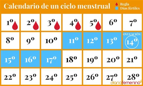 Cómo calcular los días fértiles de la mujer