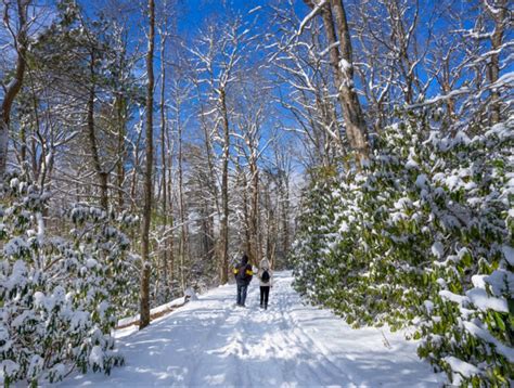 When Will Massachusetts Get Its First Snowfall Of The Season