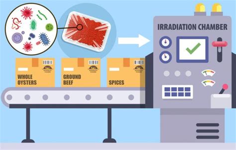 En qué consiste el proceso de irradiación en los alimentos