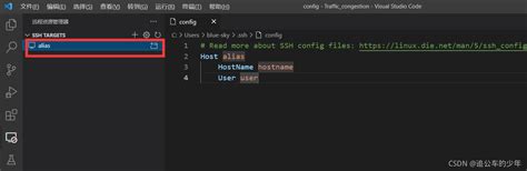 vscode连接服务器并编辑服务器端代码 vscode连接服务器 直接访问路径 写代码 csdn博客