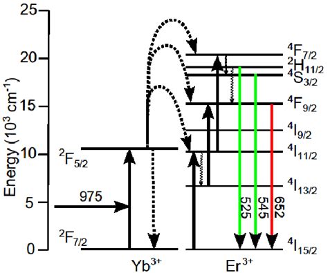 Fig S2 Schematic Energy Level Diagrams Of The Yb 3 And Er 3 Ions And