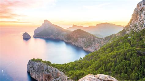 Zauberhafte Mandelbl Te Auf Mallorca Trendtours