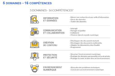 PIX Compétences numériques BAPN