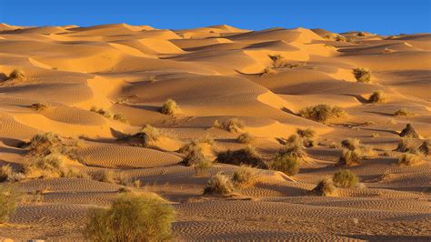 Tunisie Les Dunes De Ksar Ghilane Photos Futura