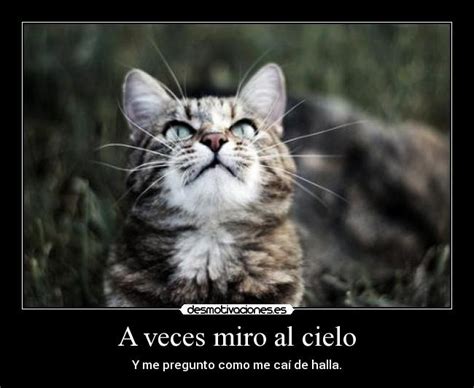 A Veces Miro Al Cielo Desmotivaciones