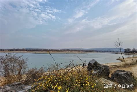 洛阳市在家门口伊河岸边所建的五星级游园到底有多美去了都说好 知乎