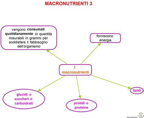 SCHEMI E MAPPE DI SCIENZA DEGLI ALIMENTI I MACRONUTRIENTI