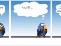 Id Es De Les Oiseaux Humour Oiseaux Blague Blague Pour Rire