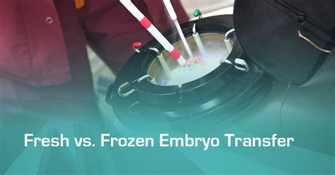 Fresh Vs Frozen Embryo Esco Medical