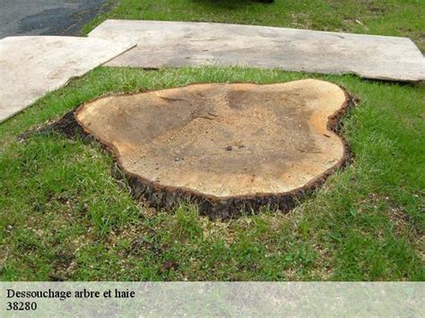 Paysagiste dessouchage d arbre à Villette D Anthon tel 04 82 29 44 30