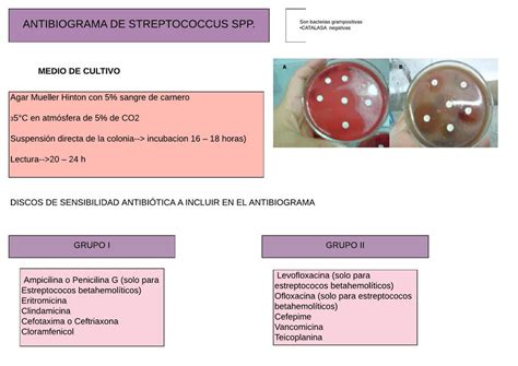 ANTIBIOGRAMA DE STREPTOCOCCUS SPP Med Byme UDocz