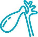 Jaundice Symptoms Treatments Liver Specialist Perth