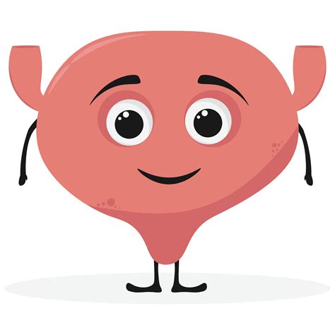 Dibujos Animados Vejiga Humano Cuerpo Organo Personaje Vector Sano