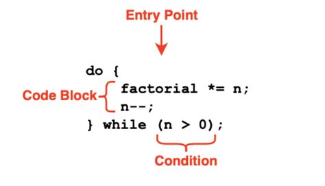 understanding do while loops tutorial