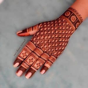 Heavy Net Jaal Mehndi Designs Styles 11 StylesGap
