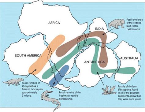 La Formation Des Continents Bibnum Education