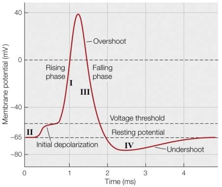 Refer To The Figure Shown Biology