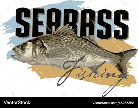 Seabass Fishing Royalty Free Vector Image Vectorstock