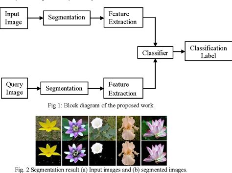 flower classification using neural network based image processing semantic scholar