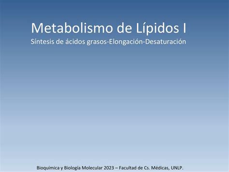 Metabolismo de Lípidos I Laura Martínez uDocz