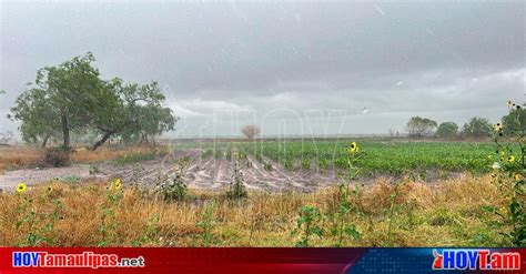 Hoy Tamaulipas Lluvias En Tamaulipas Estimulacion De Nubes En