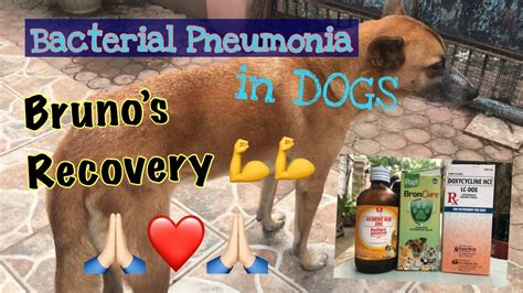 Paano Gumaling Ang Ubo Hirap Sa Paghinga Dahil Sa Fluids Sa Loob Ng