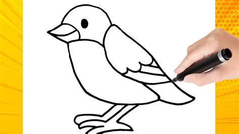 Como Dibujar Un PAJARO Paso A Paso YouTube