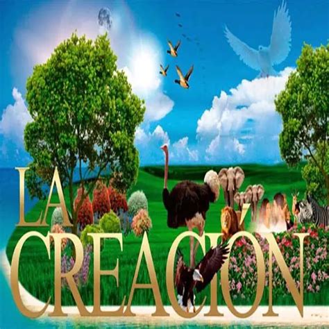 Creacion De Dios Para Ninos