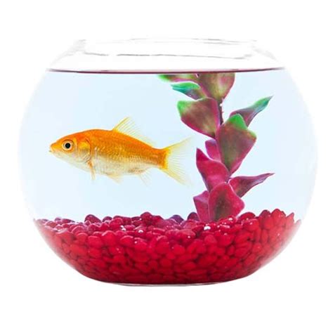Produit Aquarium Eau Douce Okgo Net