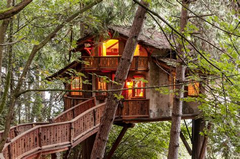 Übernachten im Baumhaus ein perfektes Geschenk für Paare